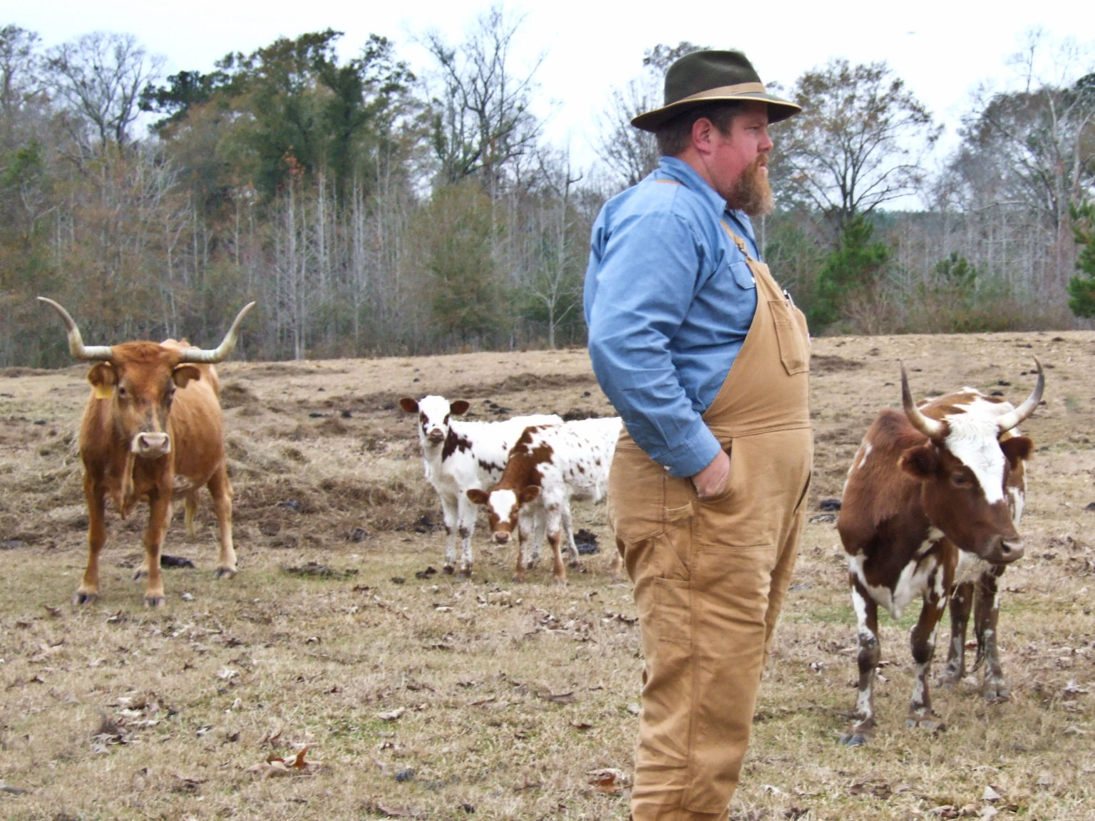 Legacy of the Cotton Patch Goose - Backyard Poultry